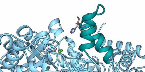 Downloads — Laboratory of Bioinorganic Chemistry