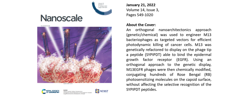 NanoBio Interface Lab — Calvaresi group