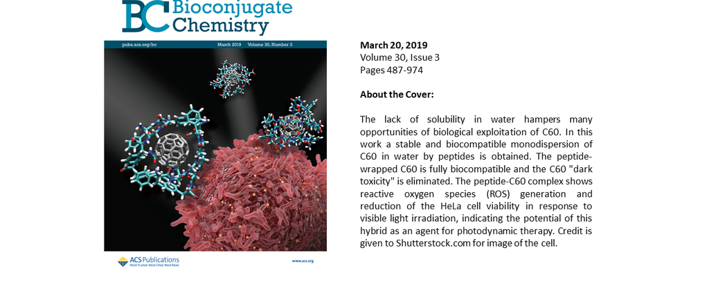 NanoBio Interface Lab — Calvaresi group